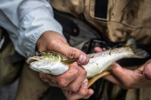 Fishing-in-Vermont for salmon - Quimby Country