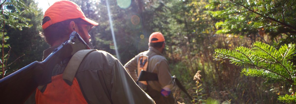 Upland Hunting | Hunt the Forests of Northern VT | Quimby Country